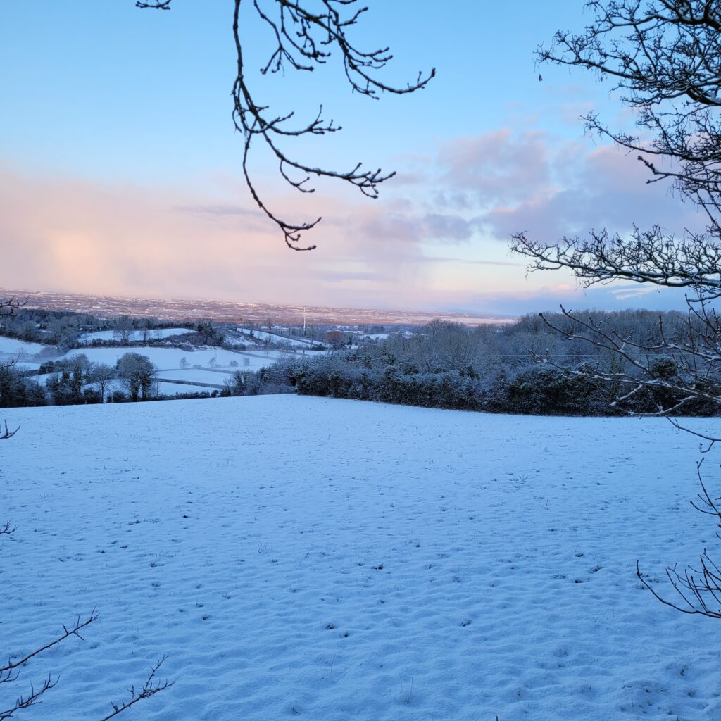 Sunset Glamping – Nature, but with hot tubs